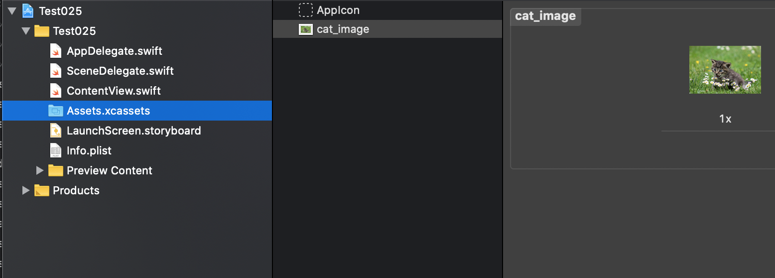 SwiftUIで画像(UIImage)を表示する方法【SwiftUI入門】 – .NET ゆる〜りワーク